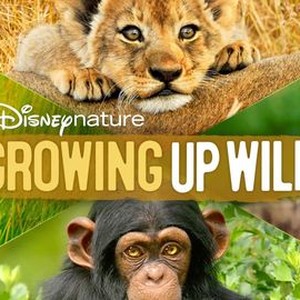 Growing Up Wild - Rotten Tomatoes