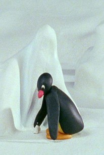 Pingu: Season 5, Episode 5 - Rotten Tomatoes