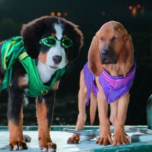 Super PupZ - Rotten Tomatoes