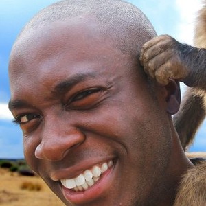 Amazing Monkeys - Rotten Tomatoes