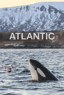 Atlantic: Season 1 | Rotten Tomatoes