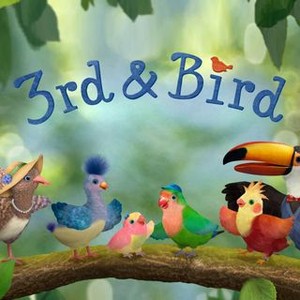 3rd & Bird - Rotten Tomatoes