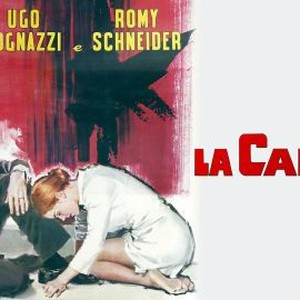 La Califfa - Rotten Tomatoes