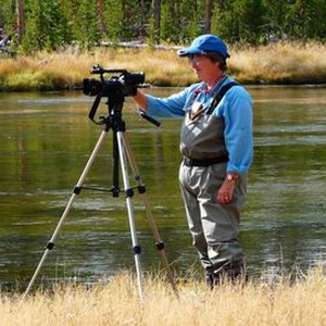 Stepping Into The Stream (2010) - Rotten Tomatoes