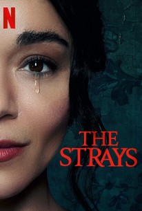 The Strays | Rotten Tomatoes