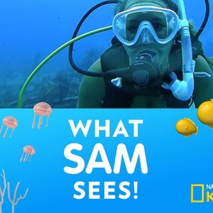What Sam Sees - Rotten Tomatoes