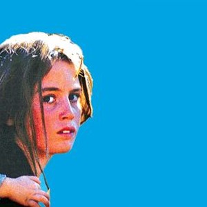 Turtles Can Fly - Rotten Tomatoes