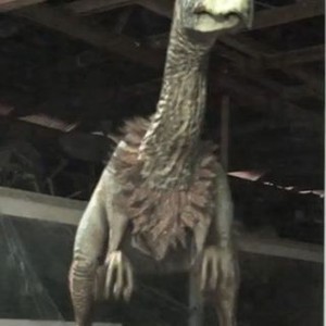 Terror Birds - Rotten Tomatoes