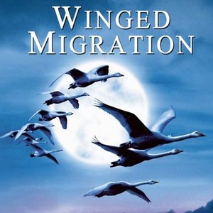 Winged Migration - Rotten Tomatoes