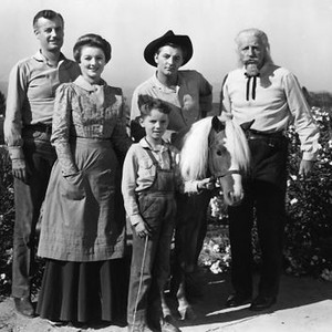 Shepperd Strudwick - Rotten Tomatoes