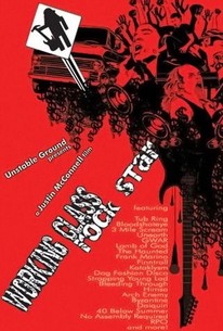 Working Class Rock Star | Rotten Tomatoes