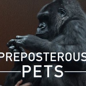 Preposterous Pets - Rotten Tomatoes
