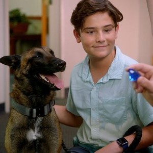 R.A.D.A.R.: The Adventures of the Bionic Dog - Rotten Tomatoes