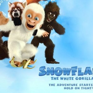 Snowflake, the White Gorilla - Rotten Tomatoes