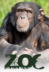 The Zoo: Season 4 | Rotten Tomatoes