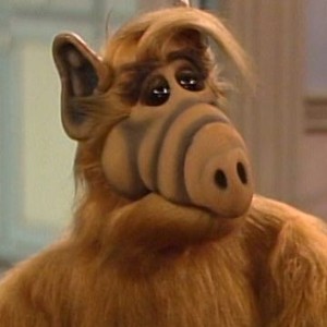 ALF: Season 3, Episode 13 - Rotten Tomatoes