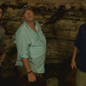 John Ceallach - Rotten Tomatoes