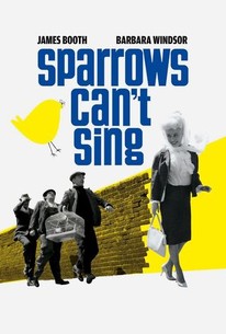 Sparrows Can't Sing | Rotten Tomatoes