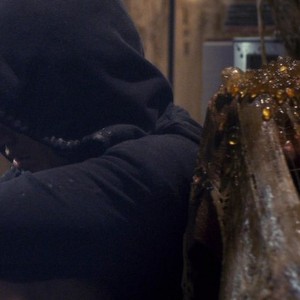 Elma Begovic - Rotten Tomatoes