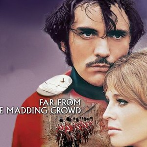 Far From the Madding Crowd - Rotten Tomatoes