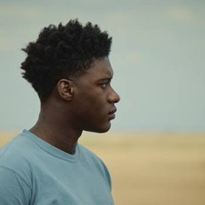The Last Tree - Rotten Tomatoes