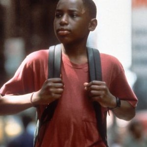 Fresh - Rotten Tomatoes