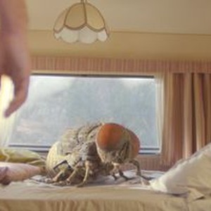 Mandibles - Rotten Tomatoes