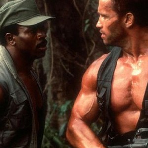 Predator - Rotten Tomatoes