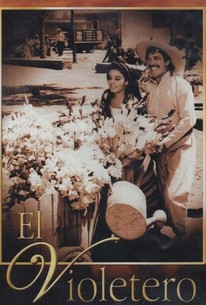 El violetero | Rotten Tomatoes