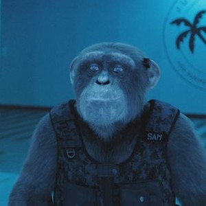 C.I.Ape - Rotten Tomatoes