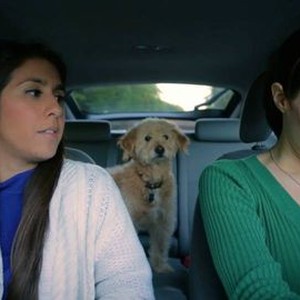 Geographically Desirable - Rotten Tomatoes