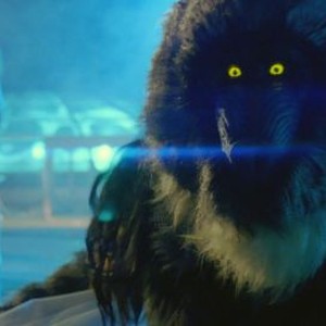 Apocalypse After - Rotten Tomatoes