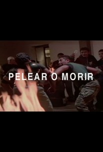 Pelear o morir | Rotten Tomatoes