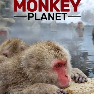 Monkey Planet - Rotten Tomatoes