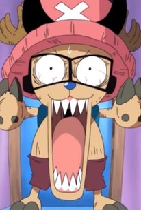 One Piece: Season 7, Episode 16 | Rotten Tomatoes