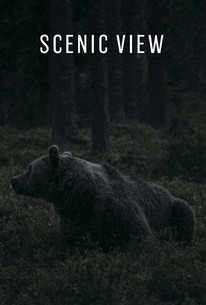 Scenic view | Rotten Tomatoes