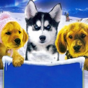 Snow Buddies - Rotten Tomatoes