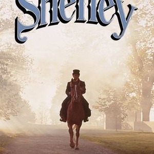 Sheffey - Rotten Tomatoes