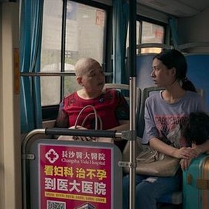 Stonewalling - Rotten Tomatoes