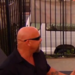 Operation Repo: Season 8, Episode 13 - Rotten Tomatoes