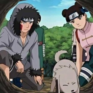 Naruto - Season 5 Episode 14 - Rotten Tomatoes