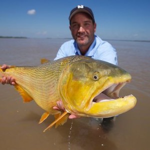 Monster Fish - Rotten Tomatoes