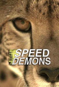 Speed Demons | Rotten Tomatoes