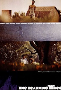 The Learning Tree | Rotten Tomatoes