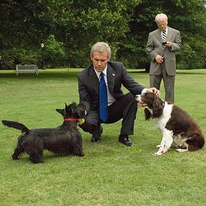 W. - Rotten Tomatoes