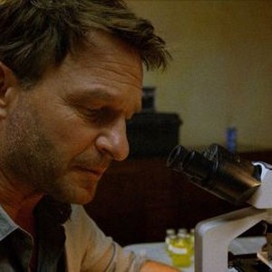 Discarnate - Rotten Tomatoes