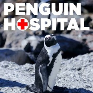 Penguin Hospital - Rotten Tomatoes