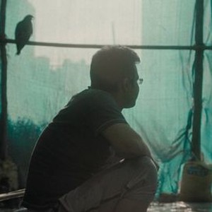 All That Breathes - Rotten Tomatoes