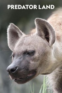 Predator Land | Rotten Tomatoes