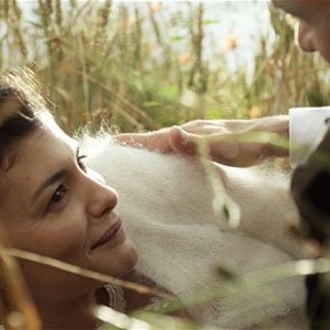 Mood Indigo - Rotten Tomatoes